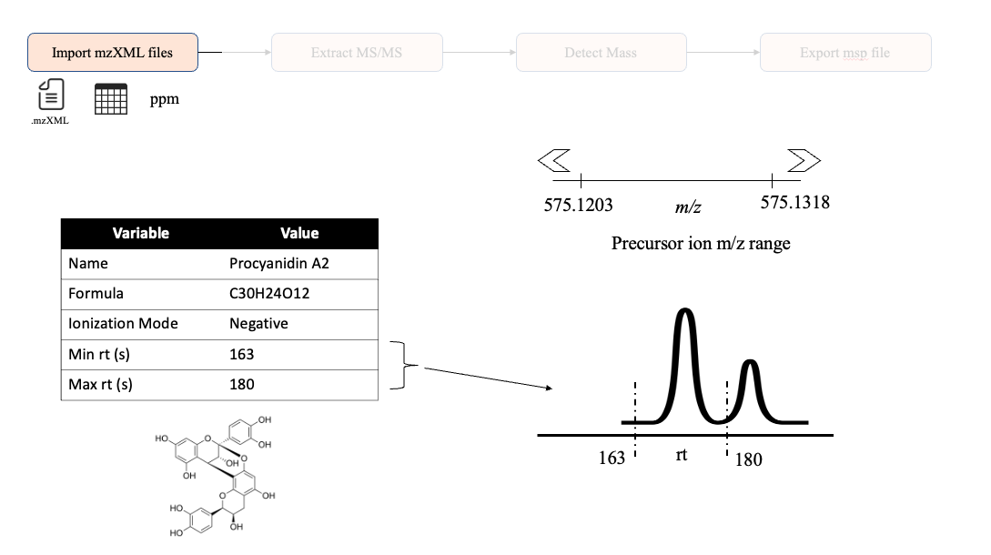 3 - Behind the curtains of importing MS/MS data • MS2extract